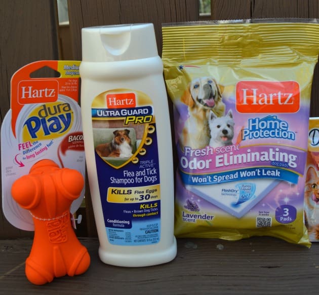 Pet Care Package Ideas For Dogs And Cats Family Focus Blog Pet Care Package Ideas For Dogs And Cats Family Focus Blog