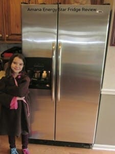 Amana Refrigerator Review: Stylish and Energy Efficient