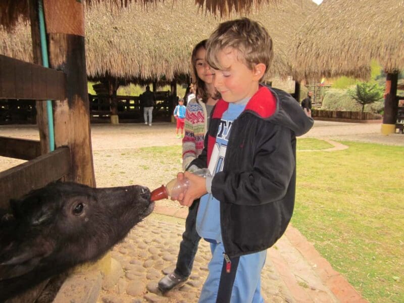 Fun Extracurricular Activities for the Non Athletic Child