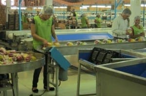 A Closer Look At Fair Trade And What It Means To Farmers