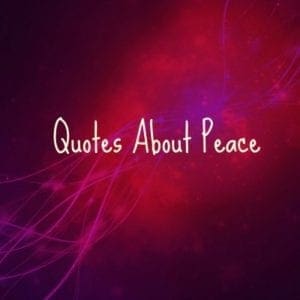 25 Amazing Peace Quotes To Inspire You