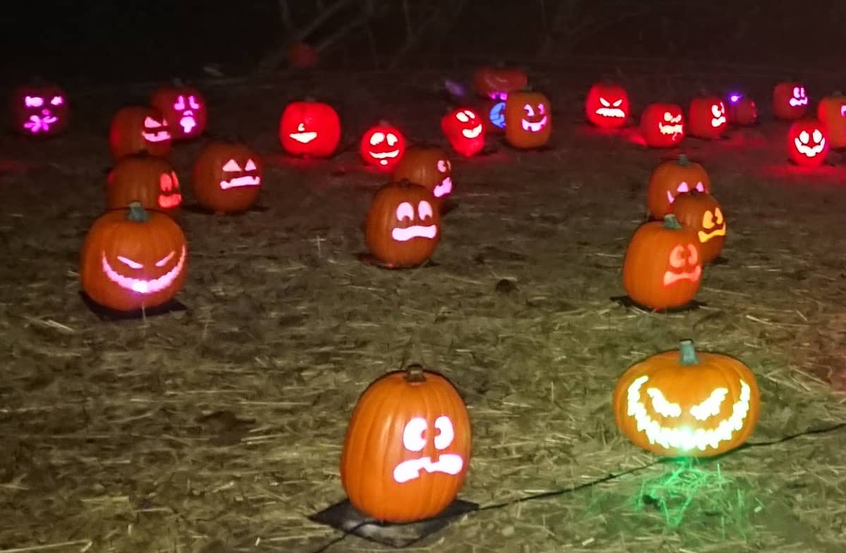 Fall Bucket List: Embrace the Traditions of the Season