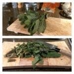 Wild Polk Salad Recipe (Poisonous Raw)