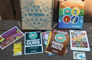 Bitsbox Review: Computer Coding For Kids - Family Focus Blog