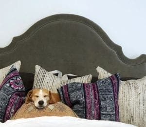 3 Easy Interior Home Decor Ideas That Won't Break The Bank