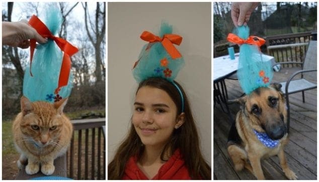 Enjoy Cute DIY Troll Hair With Fun Trolls Headband Craft