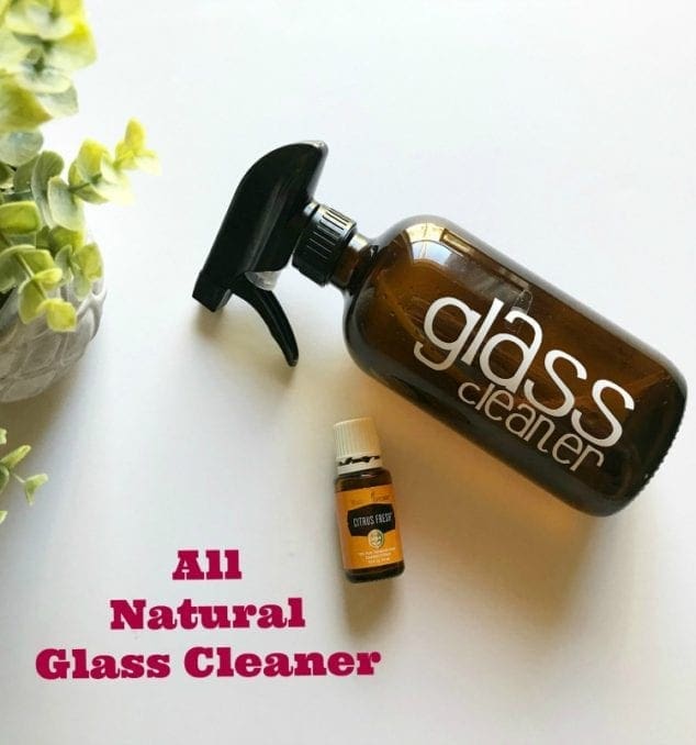 Best Homemade Window Cleaner - Family Focus Blog