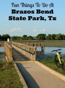 Brazos Bend State Park Things To Do - Family Focus Blog
