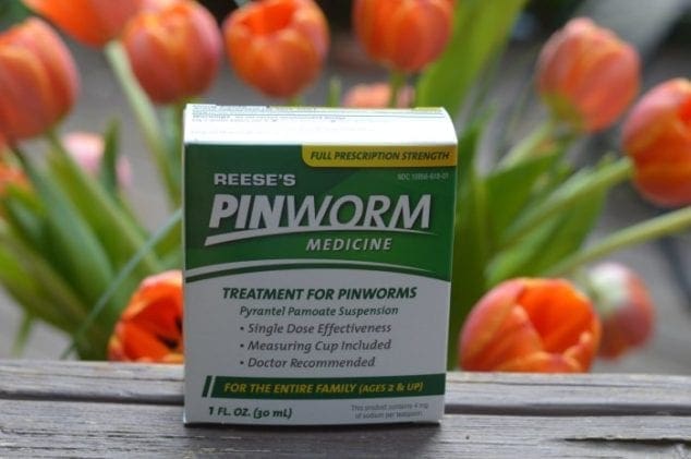 How Do You Get Pinworms? And How To Get Rid Of Them!