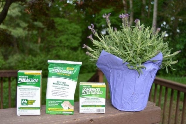 How Do You Get Pinworms? And How To Get Rid Of Them!