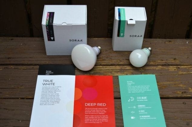 Want The Best LED Light Bulbs? SORAA Lighting Review