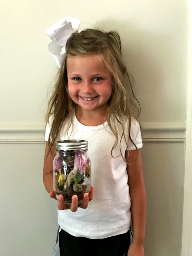 Mason Jar Terrarium: Fun Nature In A Jar Activity