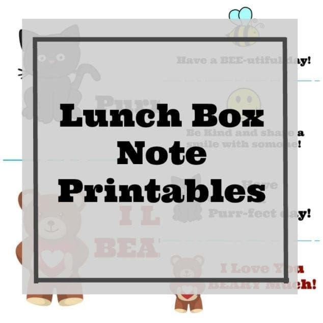 Fun and Encouraging Lunch Box Notes