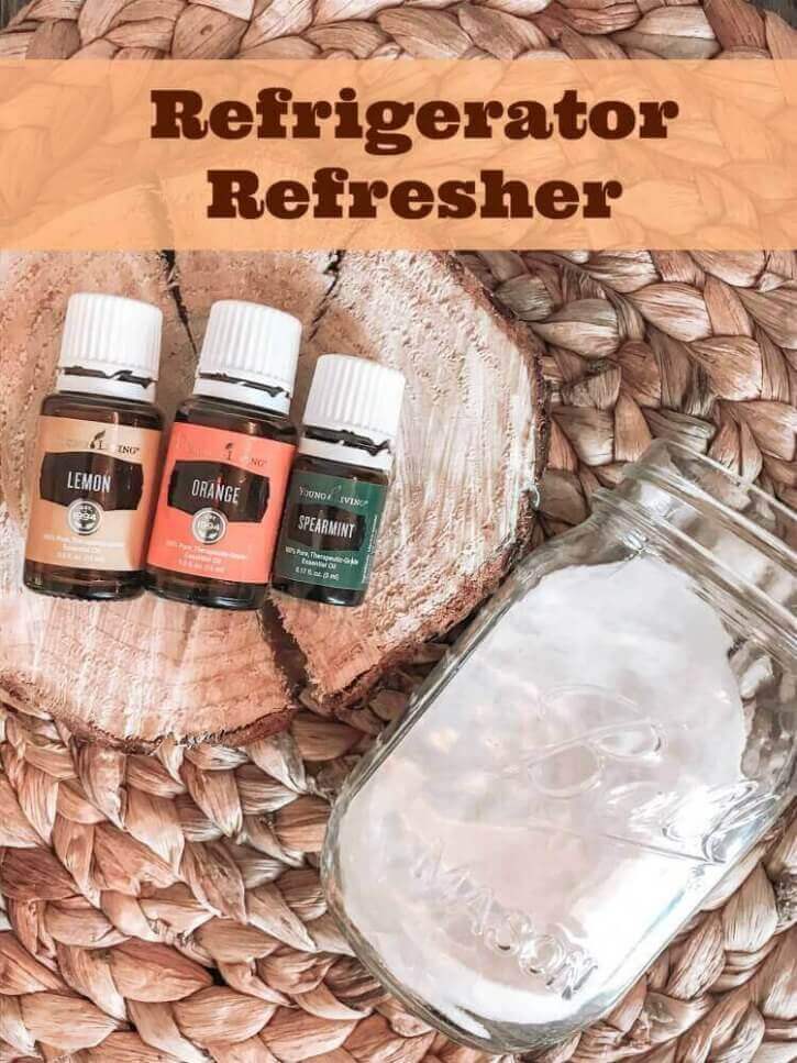 Fridge Odor Eliminator: DIY Tutorial - Family Focus Blog