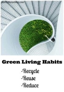 Green Living Tips for a More Sustainable Lifestyle