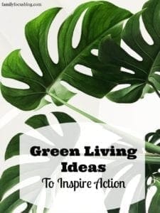 Green Living Tips for a More Sustainable Lifestyle