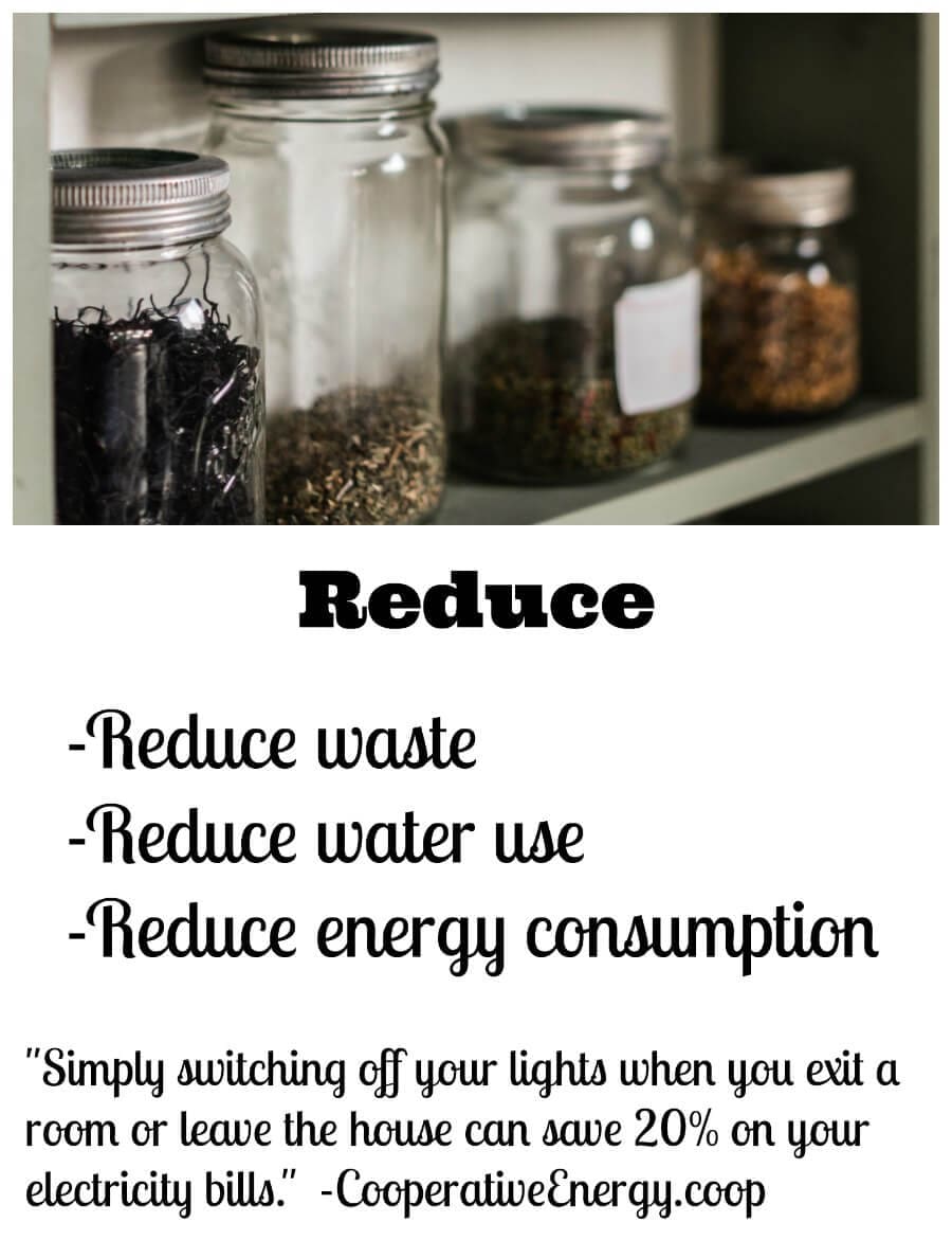 Green Living Tips for a More Sustainable Lifestyle