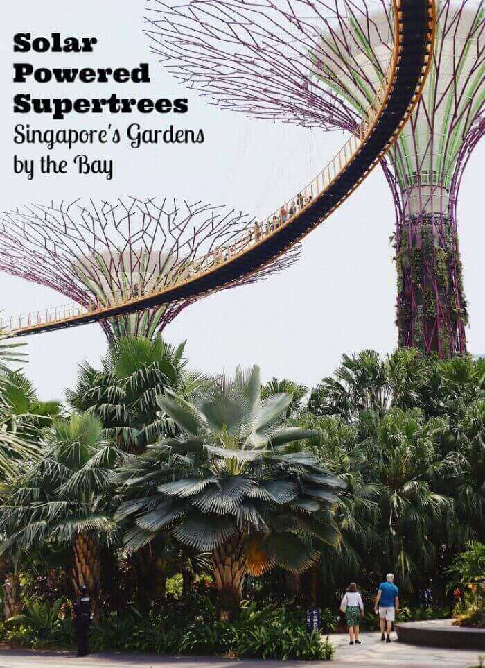 Teaching Solar Energy For Kids - Family Focus Blog