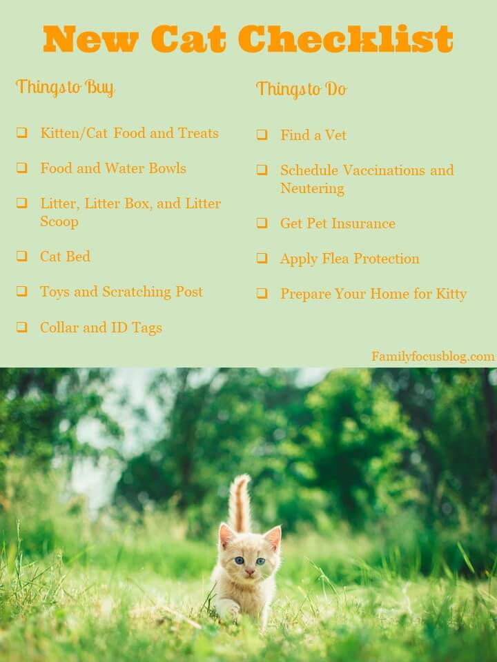 How To Introduce A New Cat To Your Home [Printable Checklist]