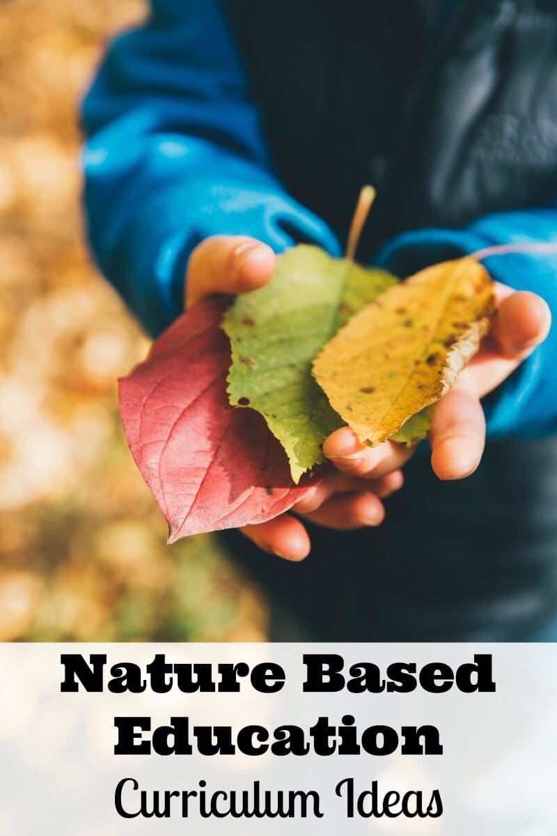 Ideas For Nature Based Education Curriculum