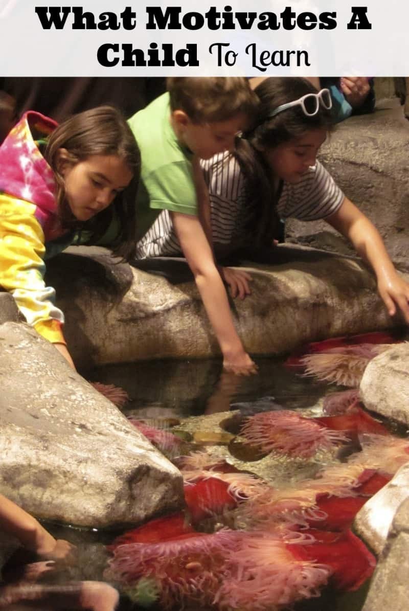 Understanding What Motivates Your Child