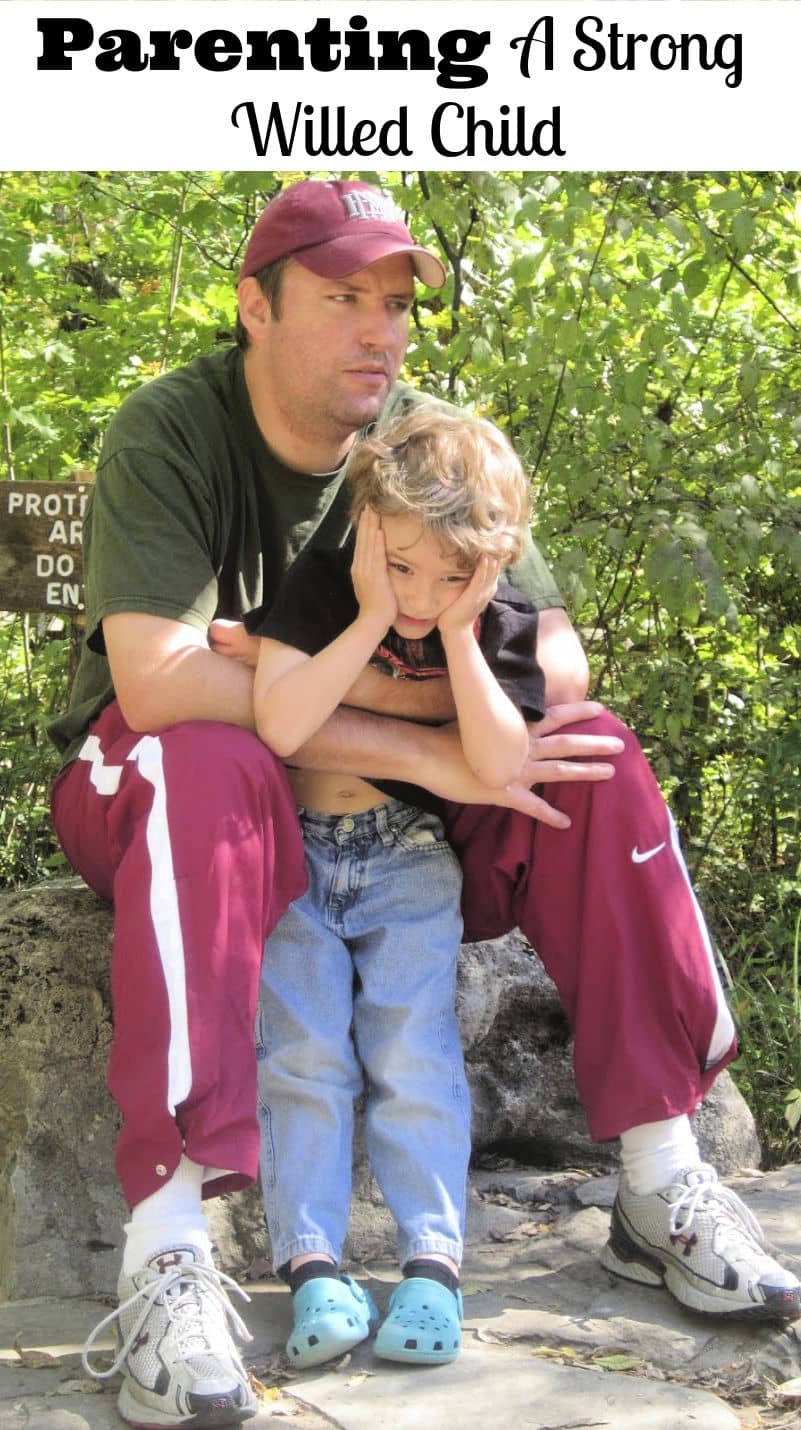 Parenting A Strong Willed Child - Family Focus Blog