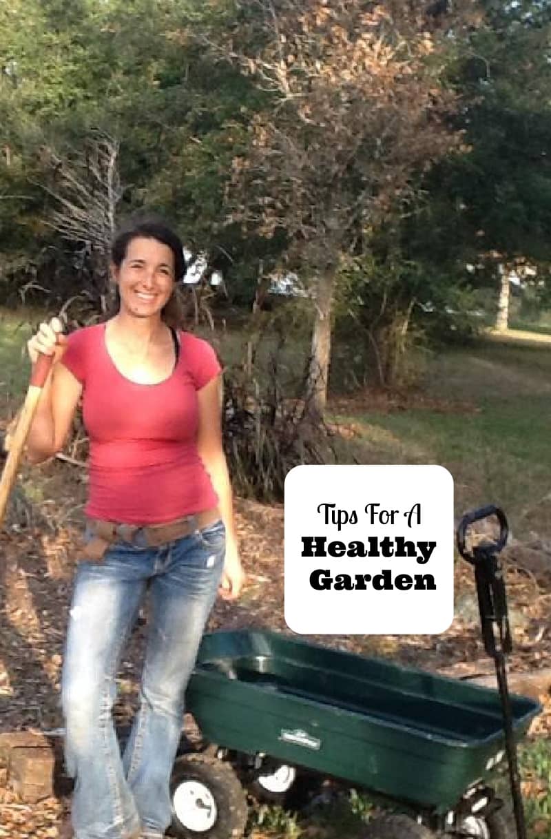 5 Tips For A Healthy Garden - Family Focus Blog
