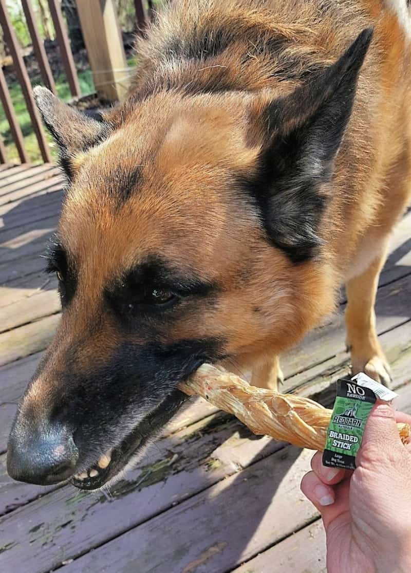 Redbarn Pet Products Reviews - Family Focus Blog