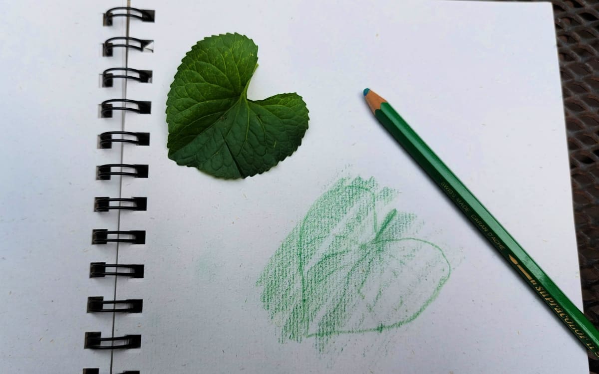 Unique and Engaging Coloring Activities For Kids