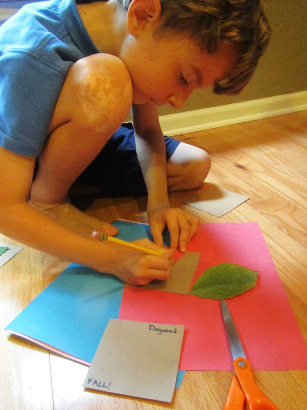 Simple DIY Coasters Leaf Craft For Kids
