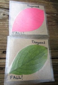 Simple DIY Coasters Leaf Craft For Kids