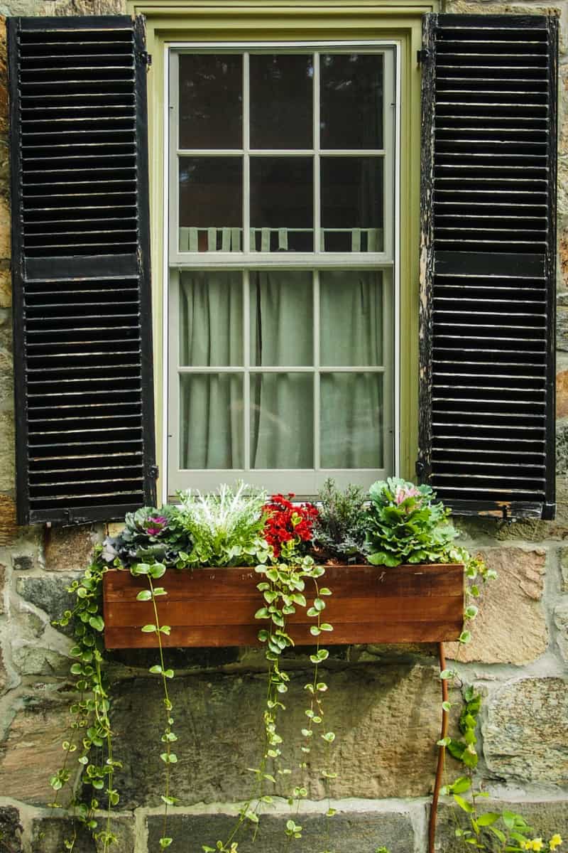 How To Refresh Your Window Box Planters For A New Look