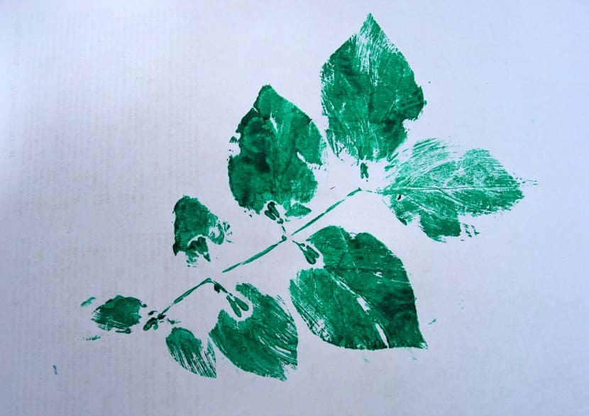 Discover The Art Of Leaf Printing - Family Focus Blog