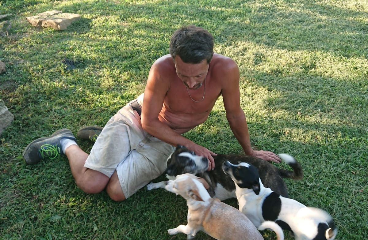 How To Introduce A New Puppy To Your Dog