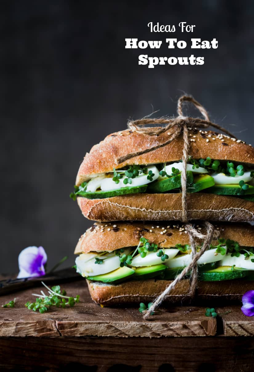 How To Eat Sprouts: 5 Delicious Healthy Recipes