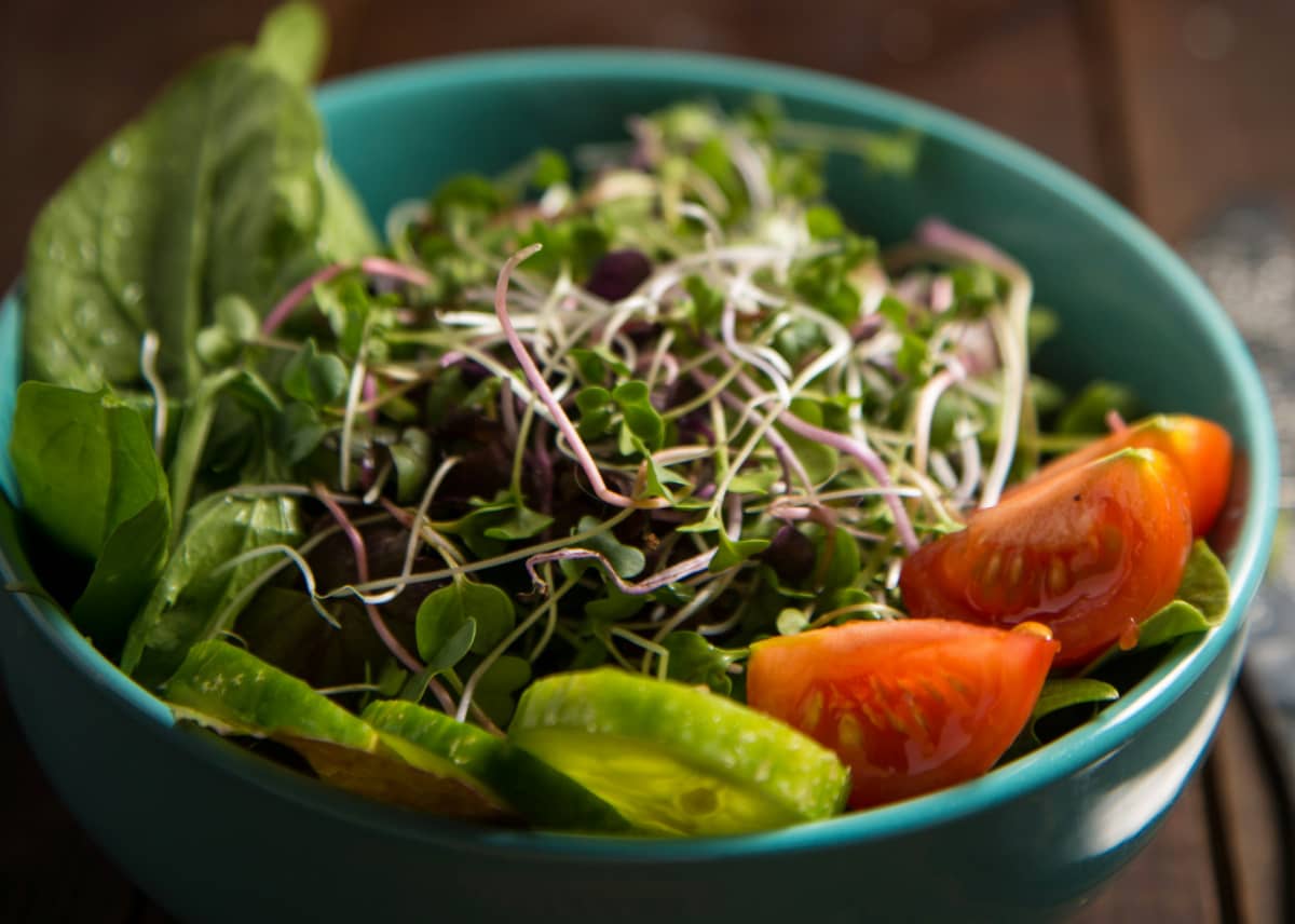 How To Eat Sprouts: 5 Delicious Healthy Recipes